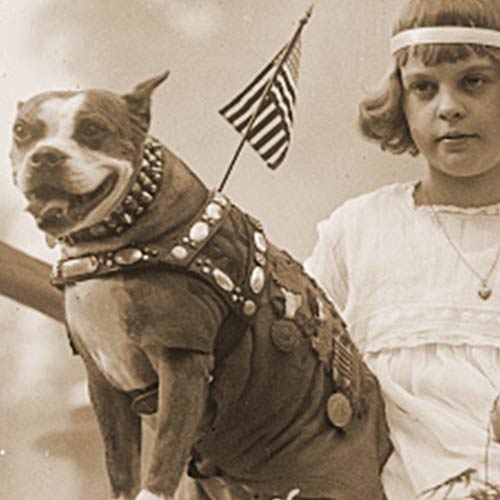Sgt. Stubby: An American Hero (2018) | Great War Films